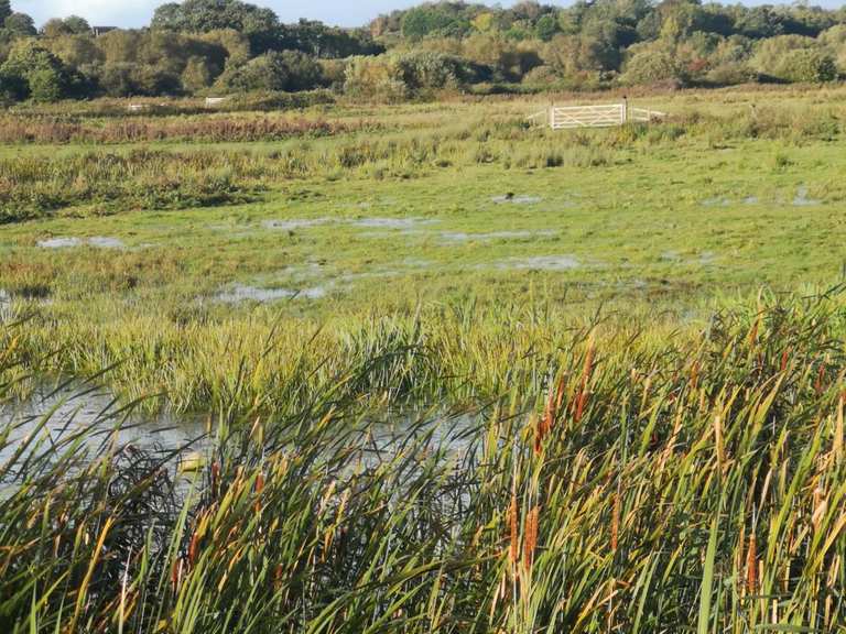 Stodmarsh National Nature Reserve loop | hike | Komoot