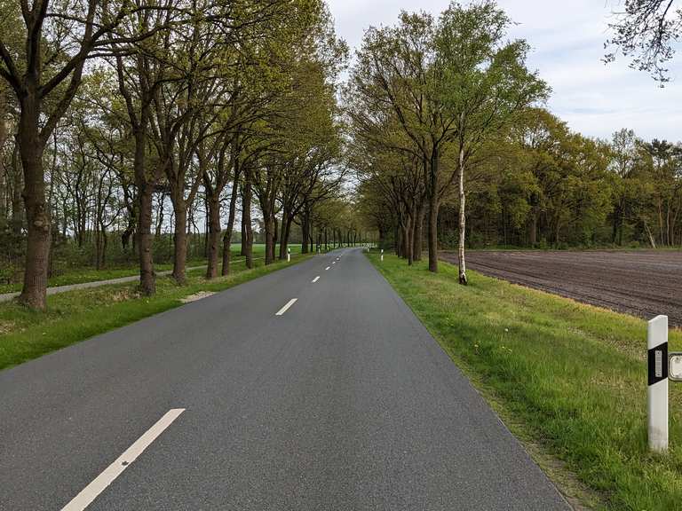 Schöne verkehrsarme Strecke von Otterstedt nach Wilstedt: Rennradfahren ...