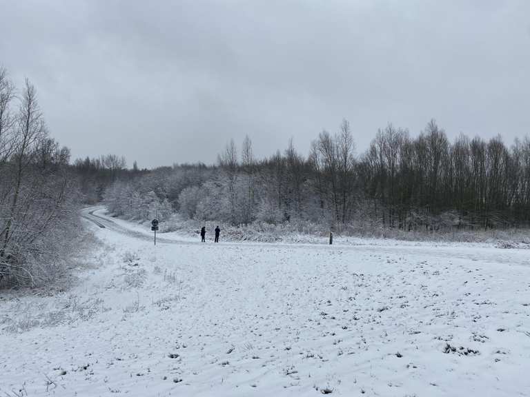 Scheldedijk Rupelmonde wandelroutes en hikes | Komoot