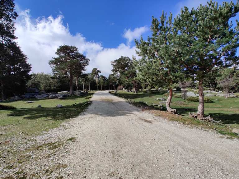 El Valle de Fuenfría – circular por la Pradera de Navarrulaque y el ...