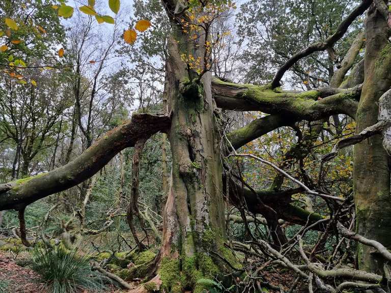 Billinge Hill: Touren und Karten | komoot