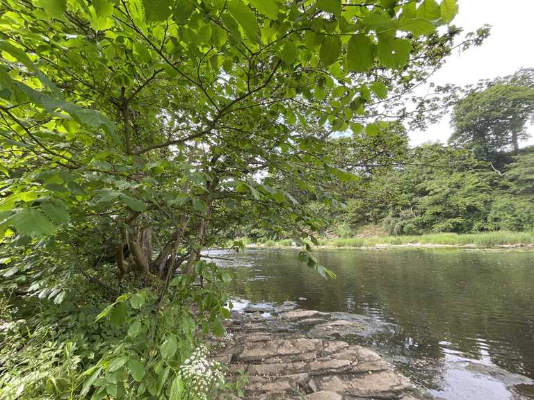 Wilder Flussuferpfad entlang des River Wear: Wanderungen und Rundwege ...