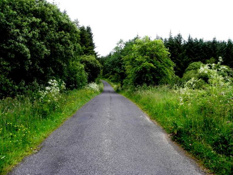 Killfoyle Lough loop to Crockacleaven Lough and Tully Forest loop ...