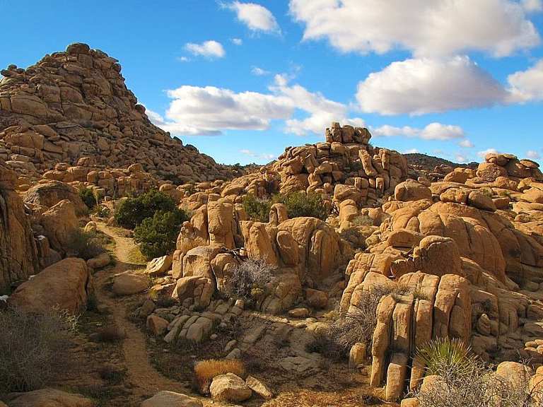 North View & Maze Loop Trails — Joshua Tree National Park Collection ...