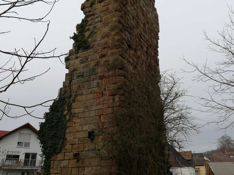 Weiherturm der Talburg in Odenbach: Wanderungen und Rundwege | komoot