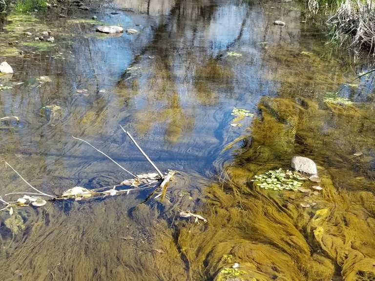 Spur Cross Ranch & Jewel of the Creek Loop Trail — Spur Cross Ranch ...
