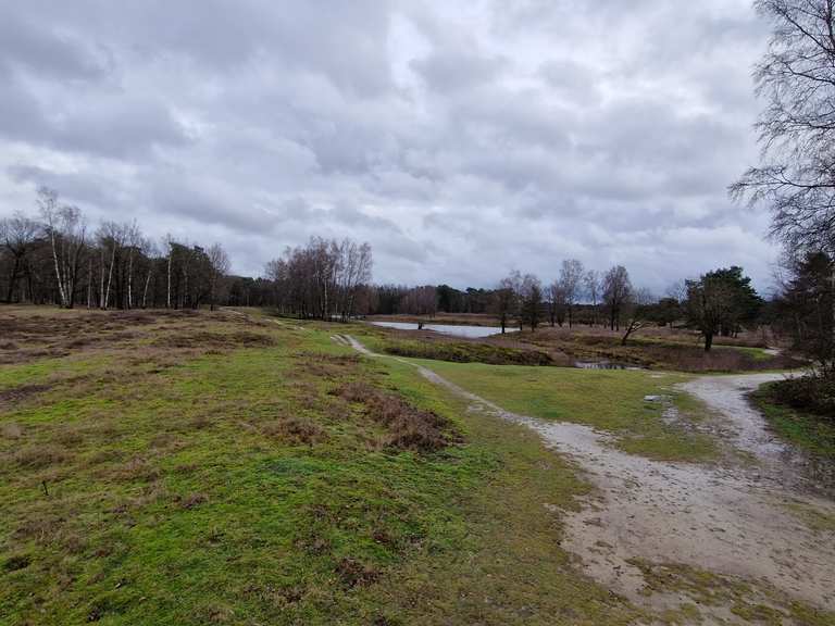Mooi in boswachterij Dorst wandelroutes en hikes | Komoot