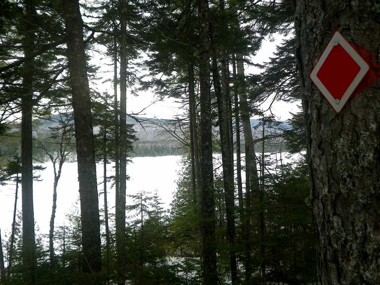 Long Pond Trail to Gorman Lodge Trail loop — Appalachian Mountain Club ...