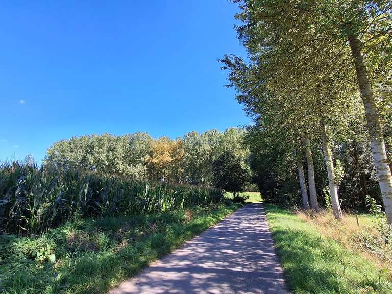 Mooi fietspad tussen velden: Radtouren und Radwege | komoot