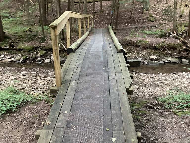 Tracy Ridge Hiking Area: Wanderungen und Rundwege | komoot