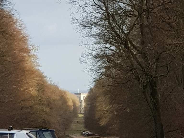 Bridgewater Monument at Ashridge Estate. wandelroutes en hikes | Komoot