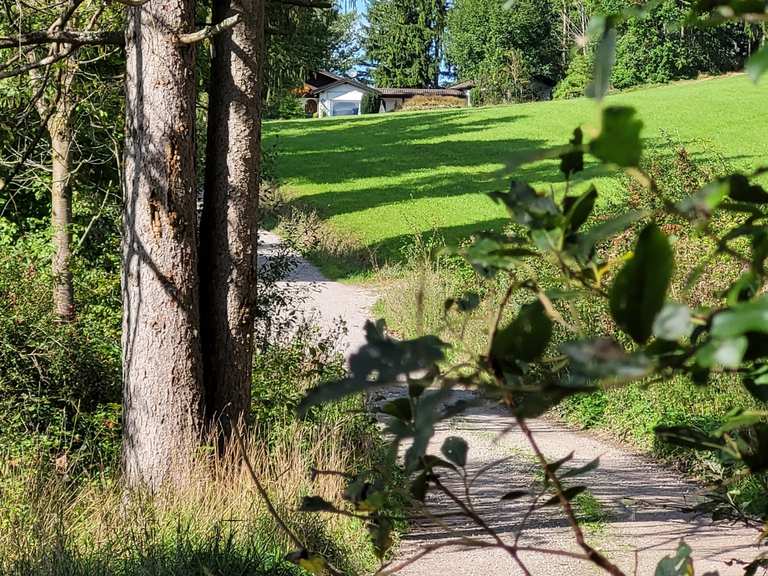 Kinsegger Weiher : Radtouren und Radwege | komoot