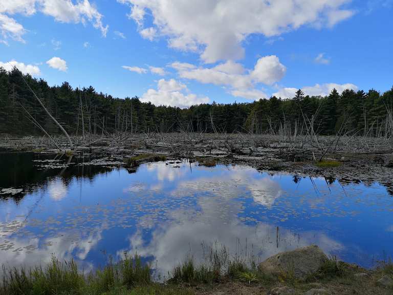 Witch Hole Pond, Eagle Lake et Duck Brook Falls Figure-8 — Gravel ...