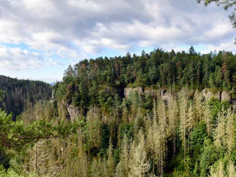Blick auf die Burg Hohnstein und das Polenztal vom Hockstein ...