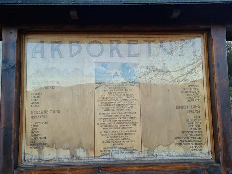 Kreuzkapelle Trassem/Saarburg: Wanderungen und Rundwege | komoot