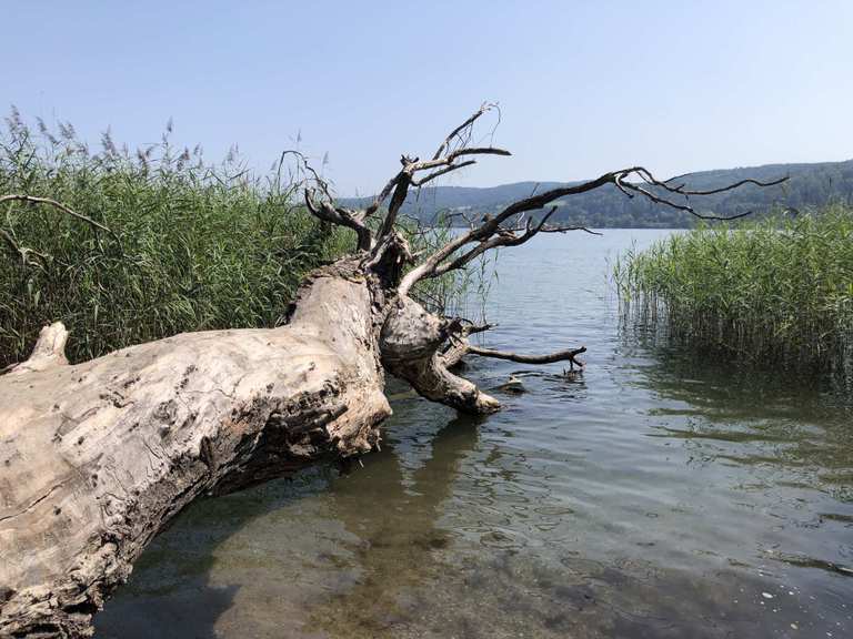 Uferpark Hemmenhofen – Hofladen Oberdorf 1 loop from Hemmenhofen | hike ...