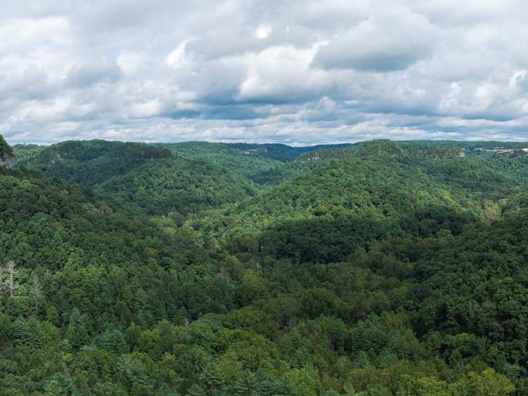 Rough, Koomer Ridge, Buck, and Pinch-em Tight Trail Loop | hike | Komoot