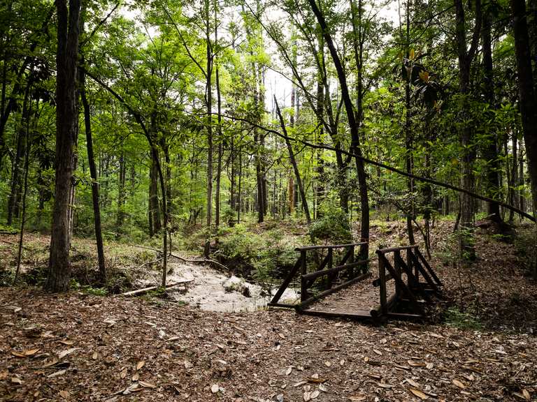 Longleaf Vista Recreation Area: Rennradfahren und Rennradtouren | komoot