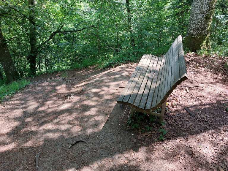 Bench in the Forest Routes for Walking and Hiking | Komoot