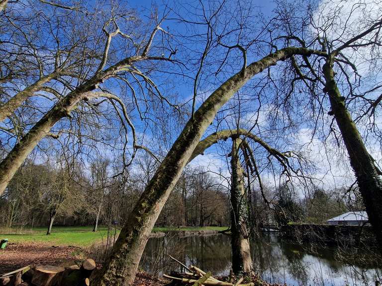 Park Domein de Ghellinck Elsegem wandelroutes en hikes | Komoot