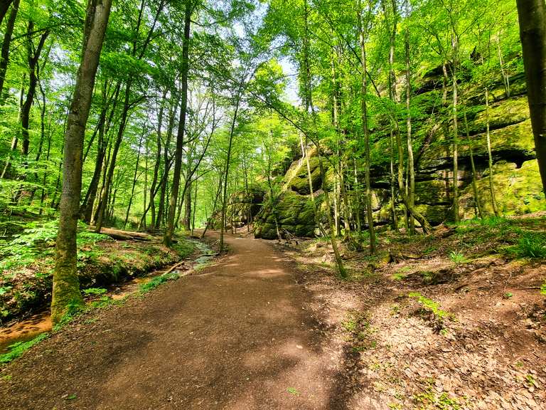 Eisenach forest trail – Thuringian forest trails | hike | Komoot