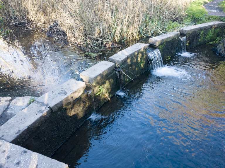 Batford Springs Nature Reserve Routes for Walking and Hiking | Komoot