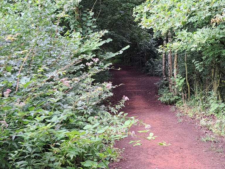Natuur gebied Roomakker tielrode wandelroutes en hikes | Komoot