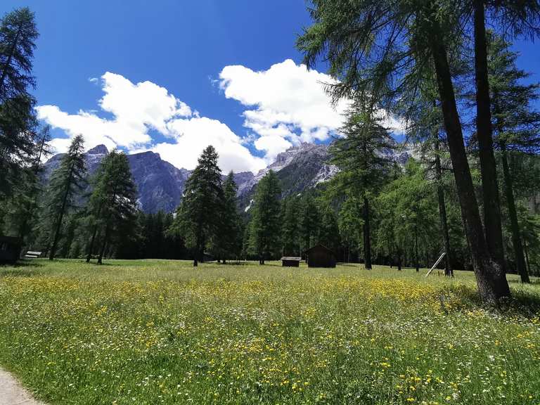 Sentiero del Prato dei Larici nel Parco Naturale Tre Cime : percorsi ...