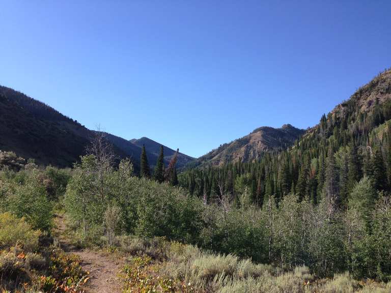 Jarbidge River Trail - Routes for Walking and Hiking | Komoot
