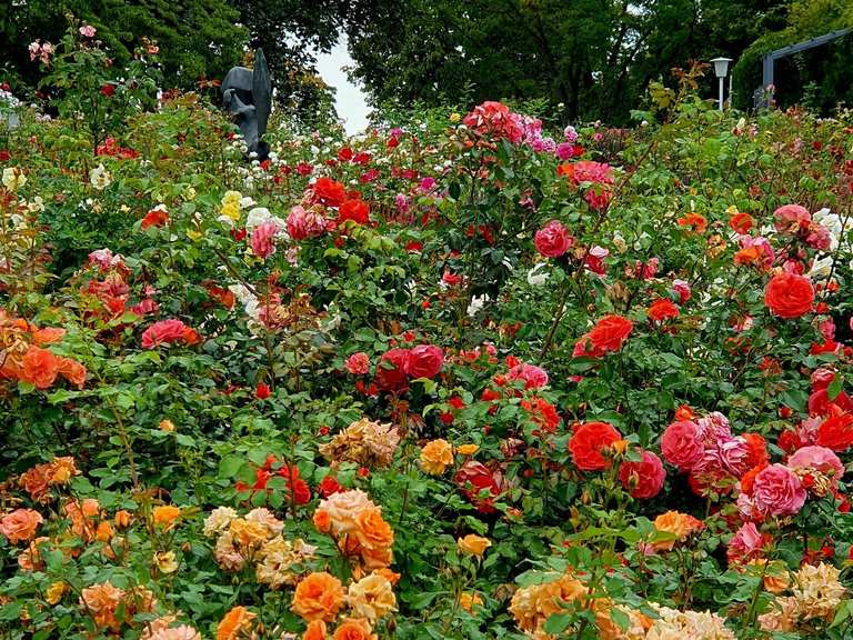 Rosengarten, egaPark Erfurt: Wanderungen und Rundwege | komoot