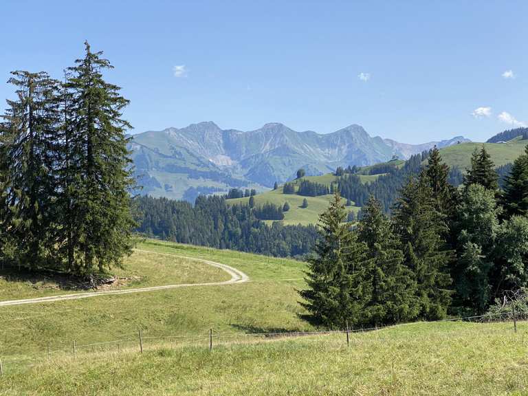 Grand tour de la Chia — loop — running from Moléson | run | Komoot