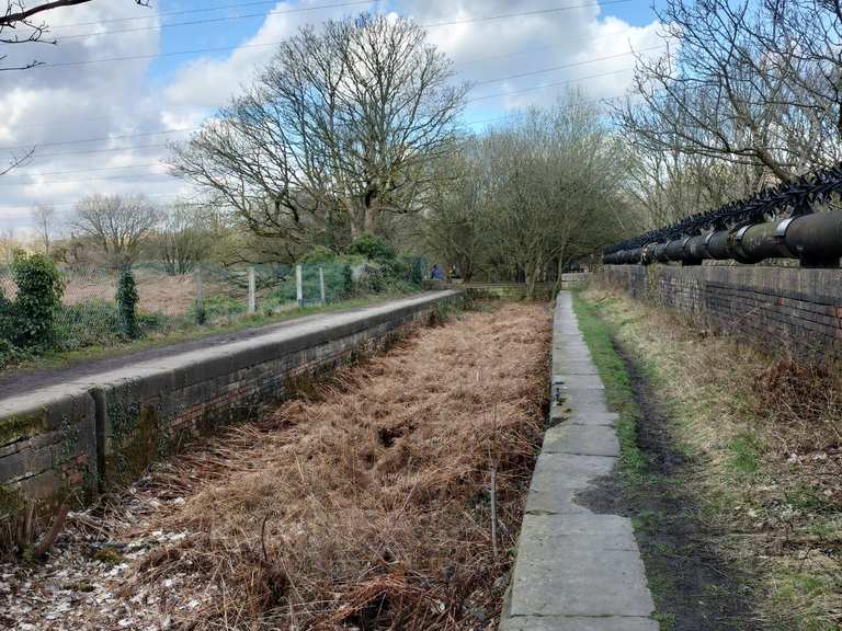 Prestwich Park (Philips Park) MTB Trails - Mountain Bike Trails ...