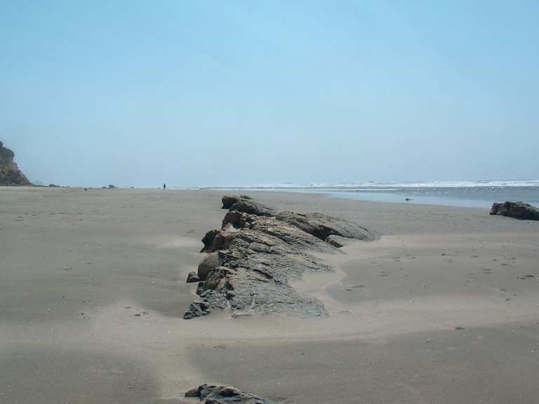 Beach Walk along Ona Beach via Beaver Creek — Brian Booth State Park ...