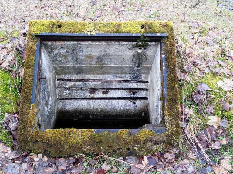 Kabelbrunnen am Westwall: Wanderungen und Rundwege | komoot