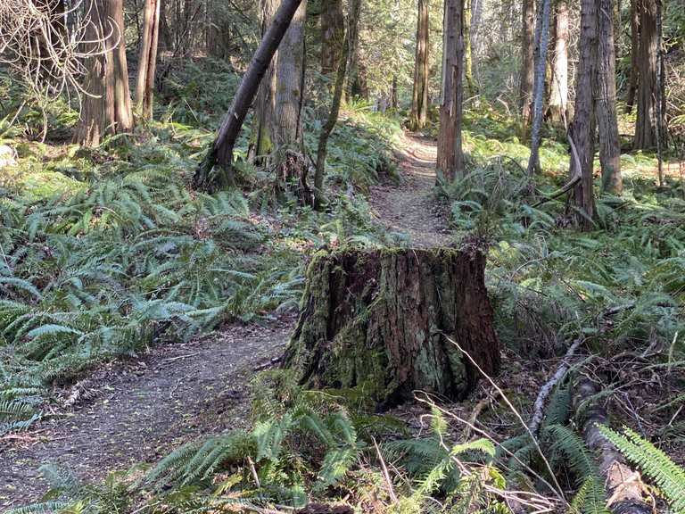 Boucle du Gazzam Lake Nature Preserve et sentier Veterane Open Space ...