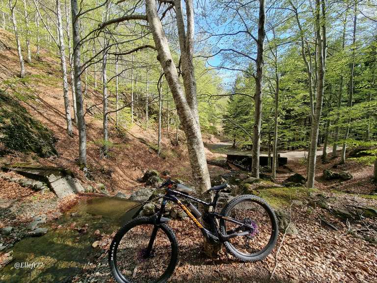 Sorgente del fiume Taro: percorsi e itinerari MTB | Komoot