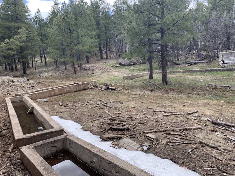 Navajo Springs Trail & water source - Mountain Bike Trails & Tracks ...