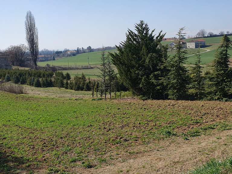 Promenade dans la campagne piémontaise de Chieri à Pino Torinese ...