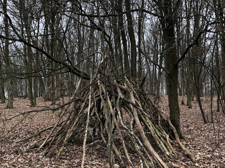 Beerzelberg wandelroutes en hikes | Komoot