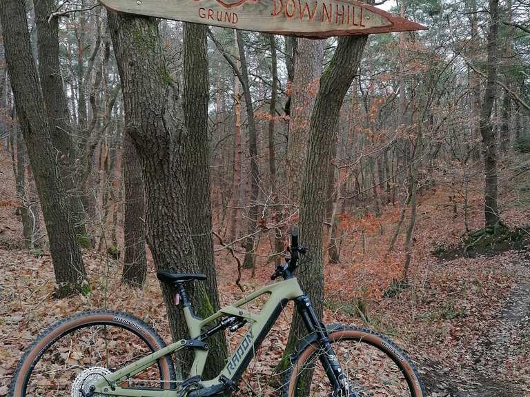 Heidelberg Freeride: Mountainbike-Touren | komoot