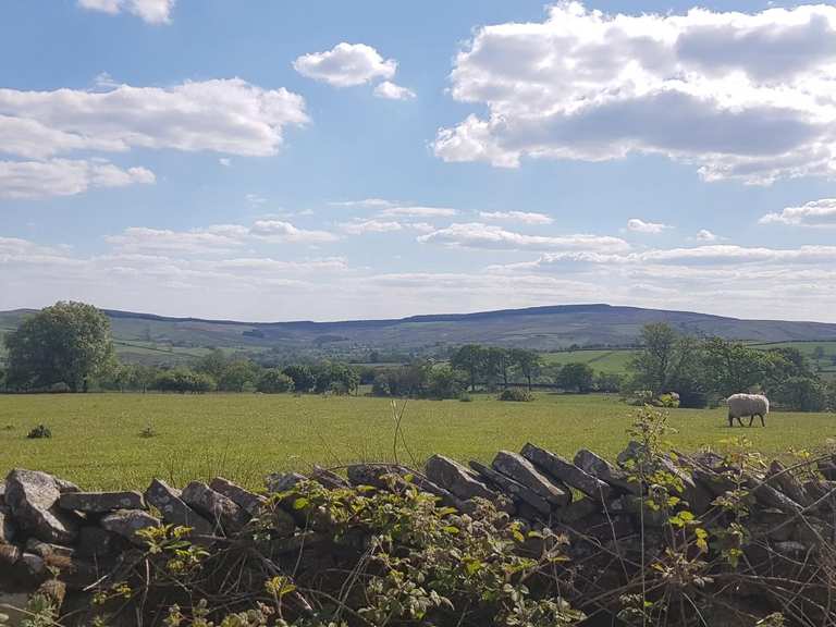 Chatburn to Downham loop – Forest of Bowland AONB | hike | Komoot