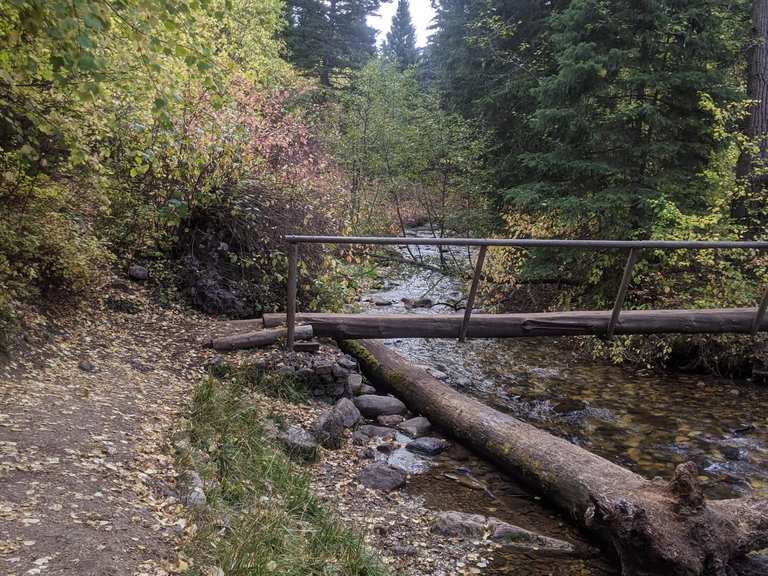 South Cottonwood Creek Trail — Forêt nationale de Custer Gallatin Vous ...