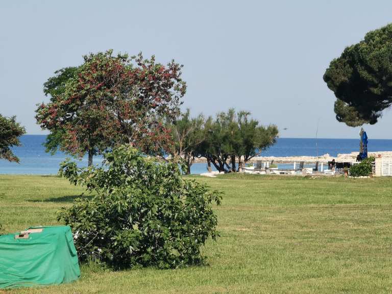 Spiaggia per cani a Sol Polynesia e Katoro : percorsi escursionistici e ...