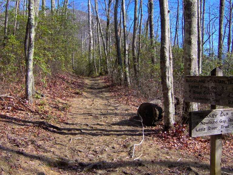 Sentier Sugarland Mountain Trail jusqu'à Huskey Gap — Parc national des ...