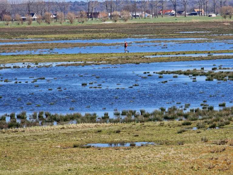 Natuurgebied Bennekom : Radtouren und Radwege | komoot