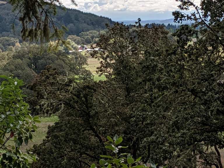 Mulkey Ridge Trail - Benton County, Oregon | Lauf-Highlight | Komoot