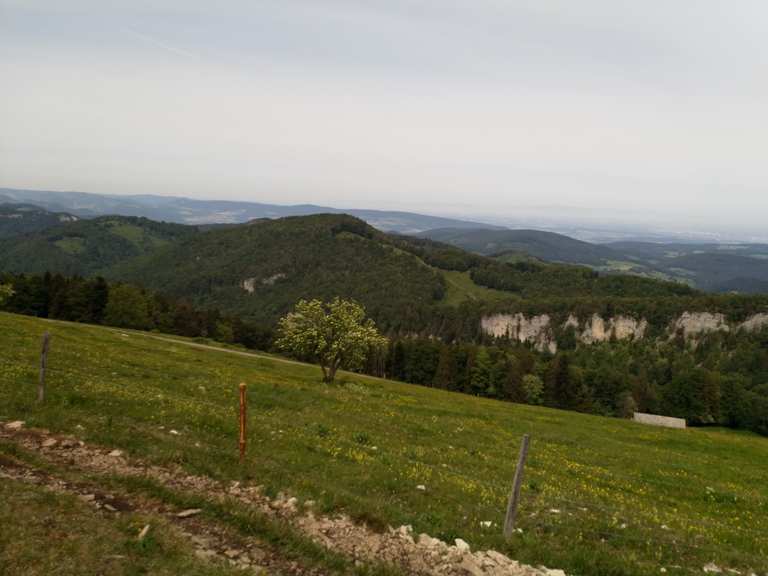 Aussichtspunkt Passwang – Vogelberg Runde von Lauwil | Wanderung | Komoot