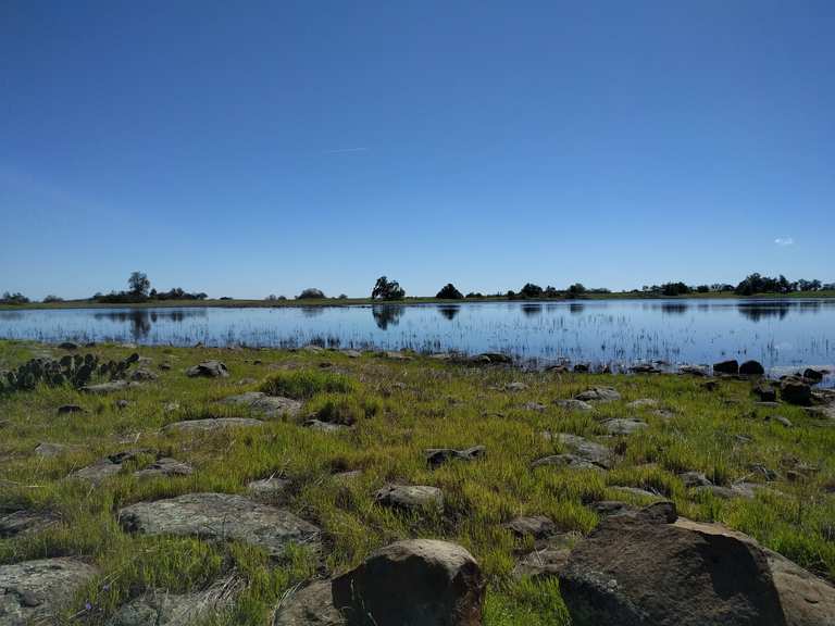 Pętla ścieżki Vernal Pool Trail — Rezerwat Ekologiczny Plateau Santa ...