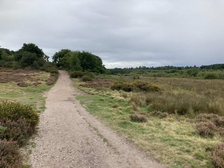 Sutton Park Routes for Walking and Hiking | Komoot