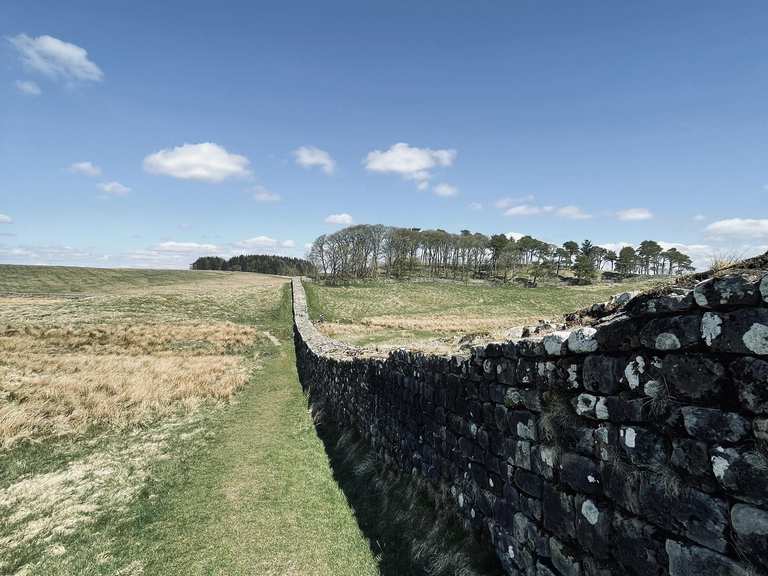 Housesteads Roman Fort: Wanderungen und Rundwege | komoot